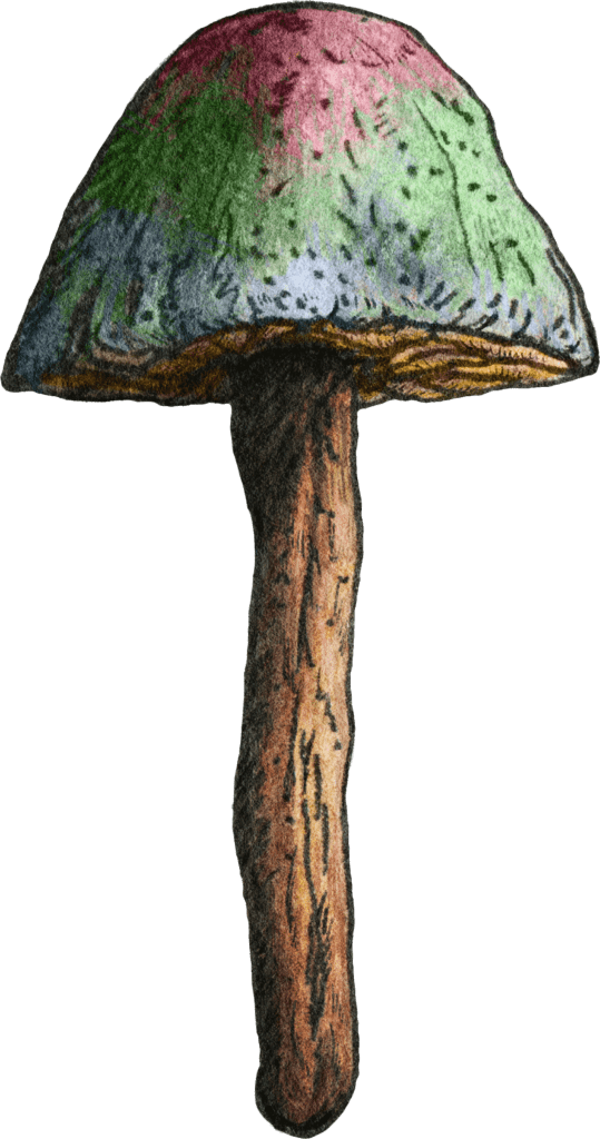 The Spore Depot - Best Place to Buy Magic Mushroom Spores Online